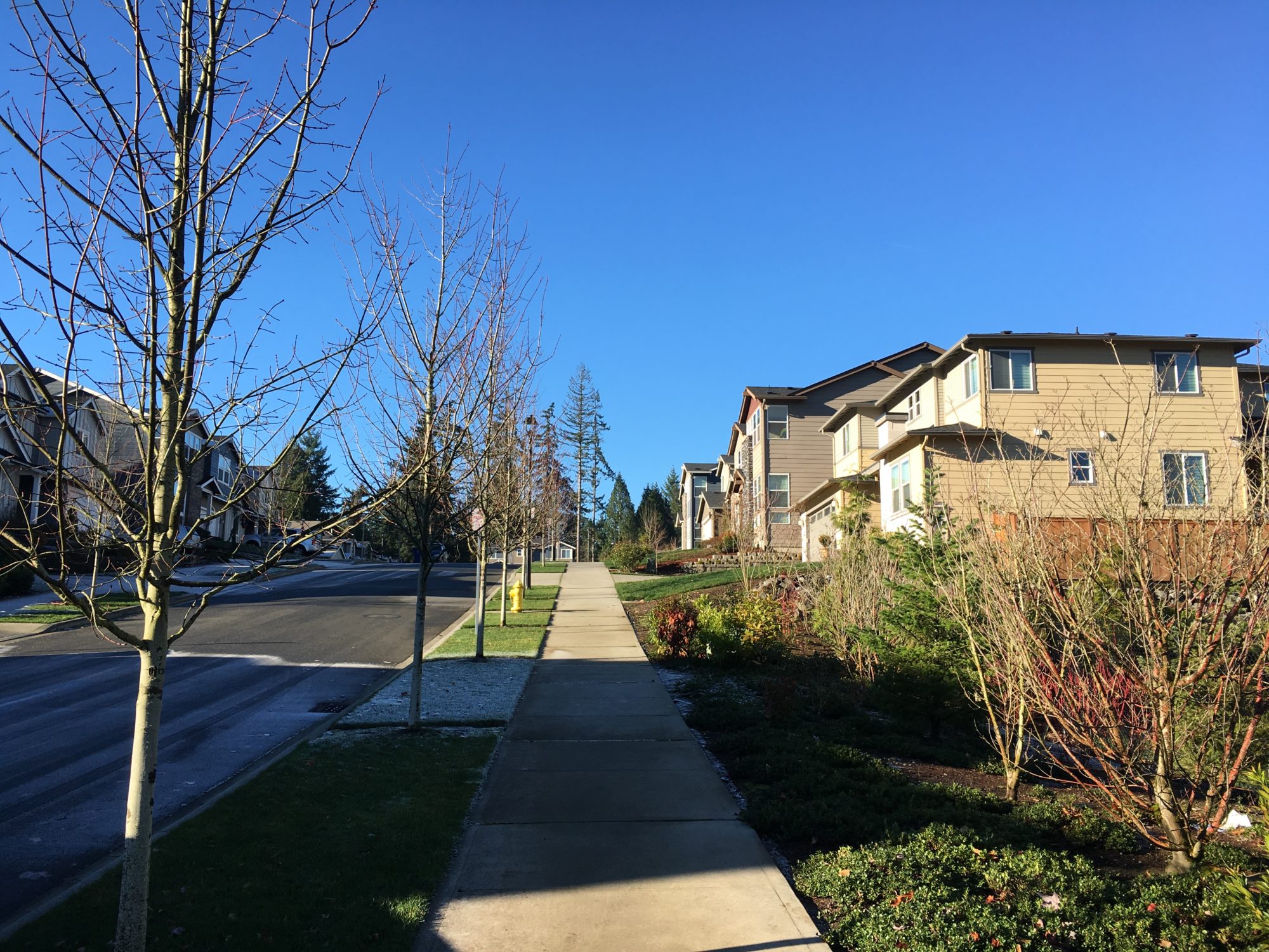Woodland Development | PACE Engineers, Inc.