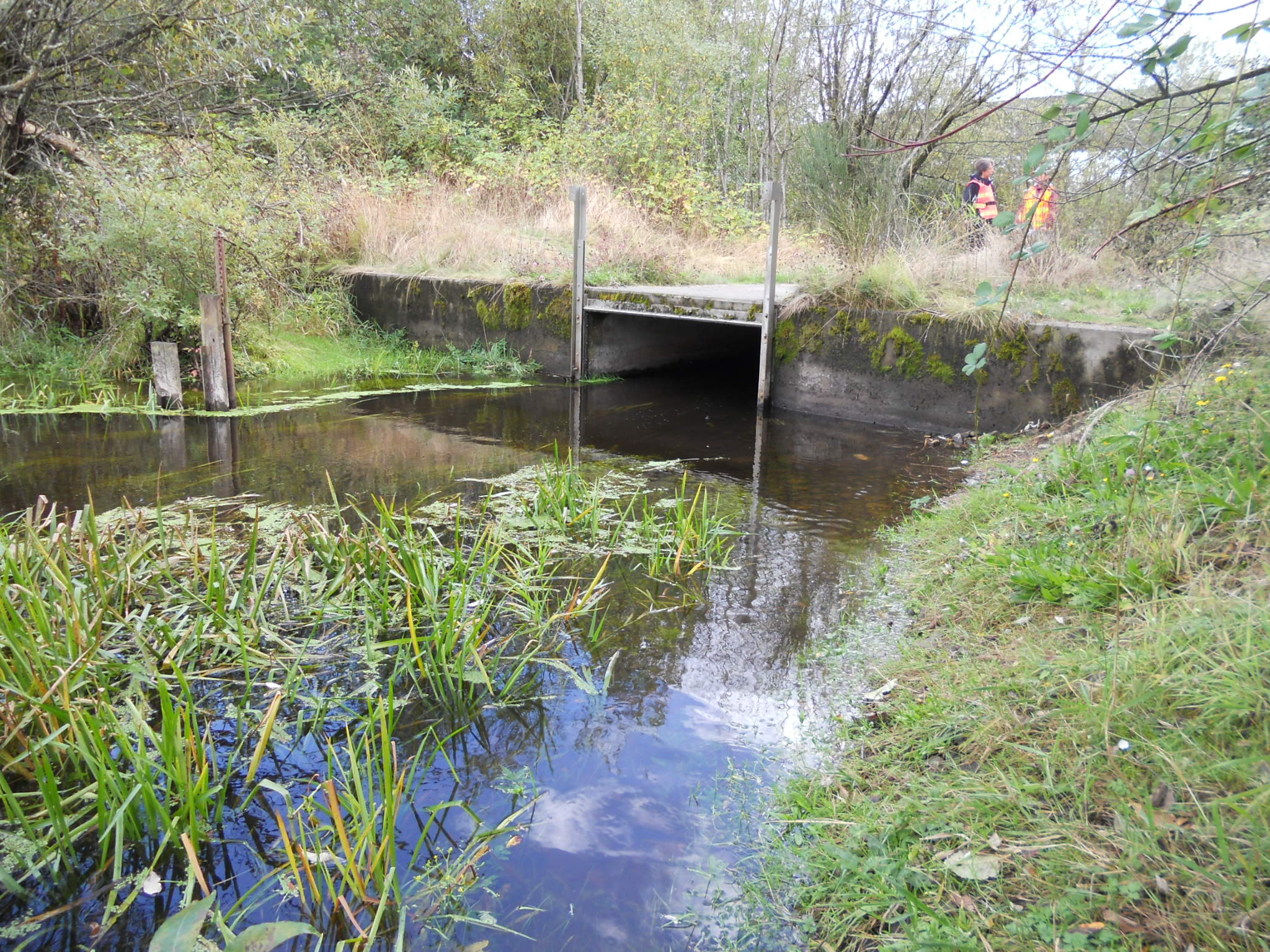 Ash Way Flood Study | PACE Engineers, Inc.