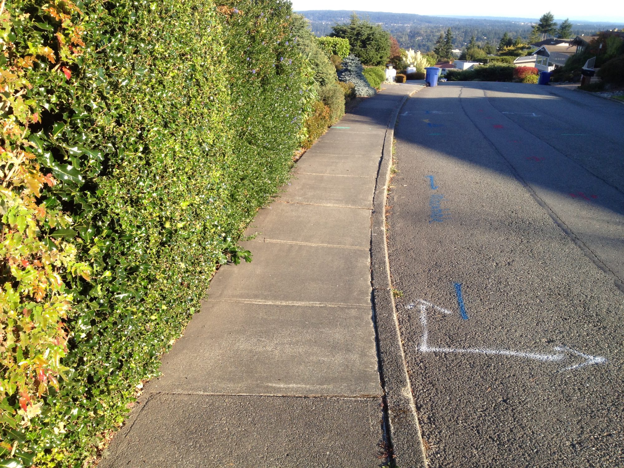 Bellevue Water Main Replacement | PACE Engineers, Inc.